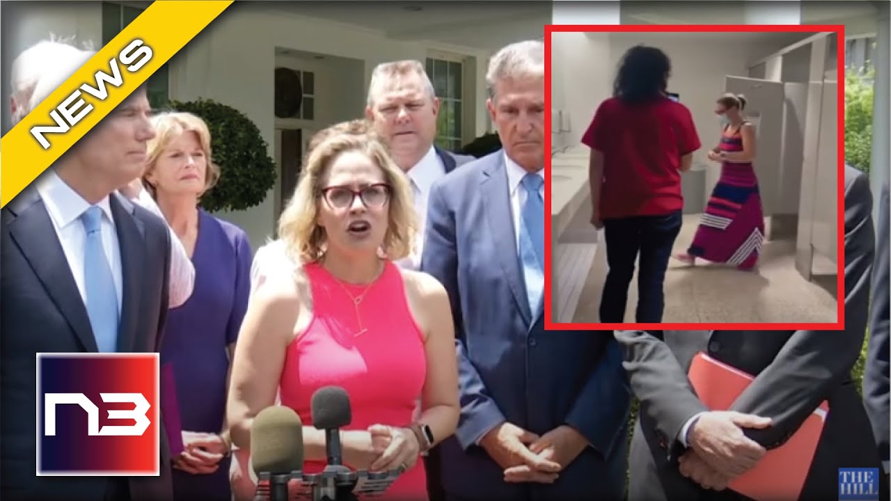 Uh Oh: Sinema TEARS APART Radical Democrat Activists After Their ...